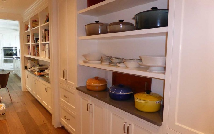 Lana's Walk in Kitchen Pantry - Welsey Ellen